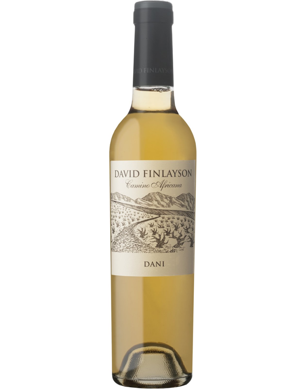 David Finlayson Camino Africana Dani - David Finlayson