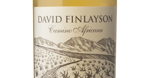 David Finlayson Camino Africana Dani - David Finlayson